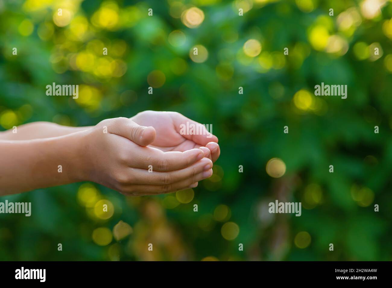 Abusing nature hi-res stock photography and images - Alamy