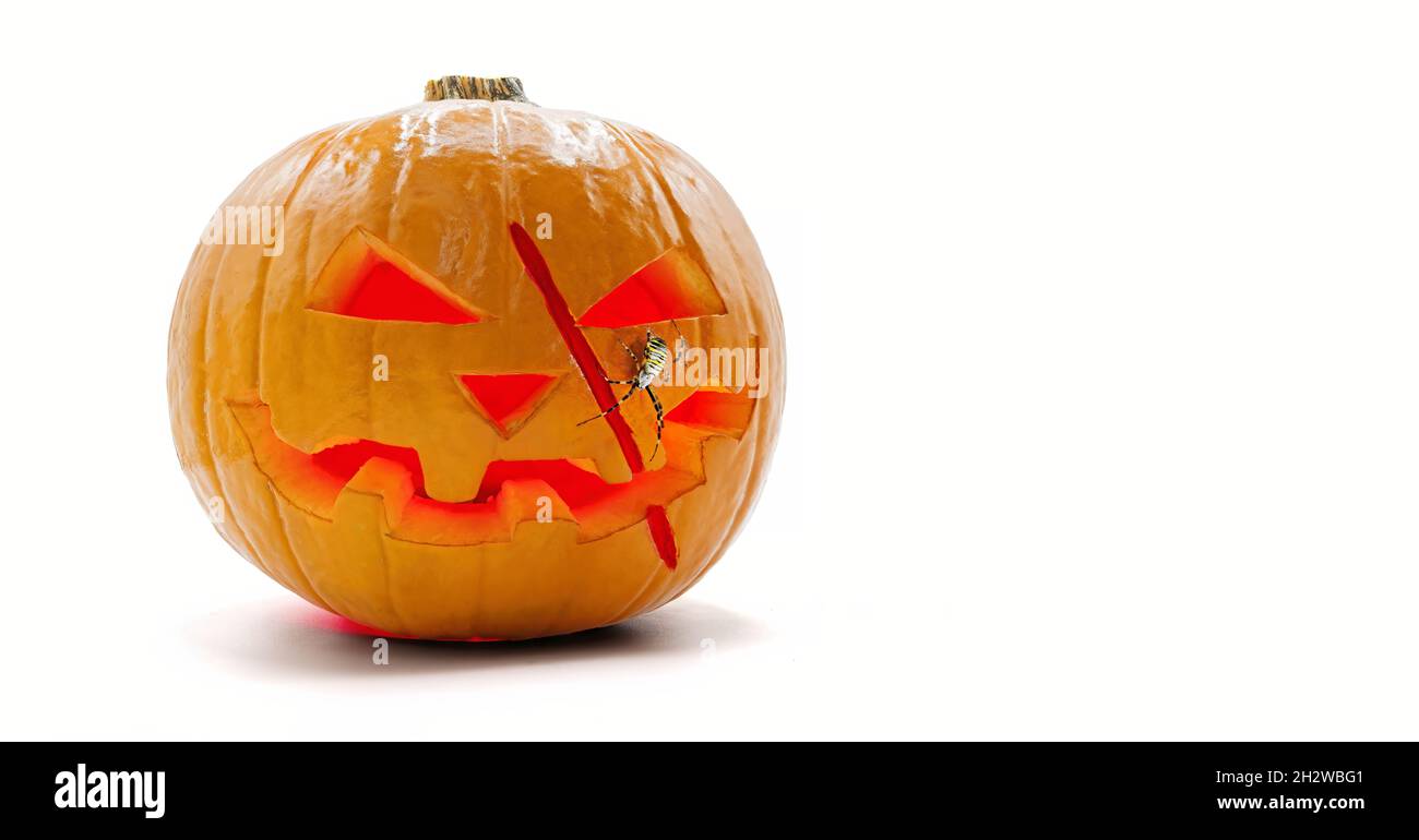 Halloween concept, a pumpkin with red eyes on a white background and a ...