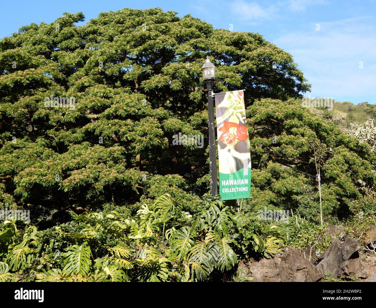 Oahu, HI U.S.A. 6/4&7/2021. Waimea Valley Visitors Center. Waimea ...