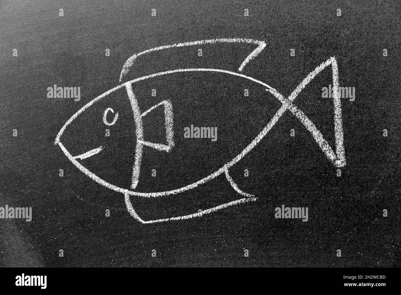 White color chalk hand drawing as fish shape on black board background ...
