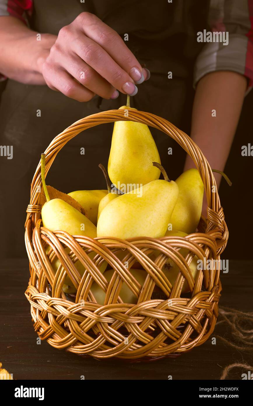 Female hands hold a basket with pears Stock Photo - Alamy