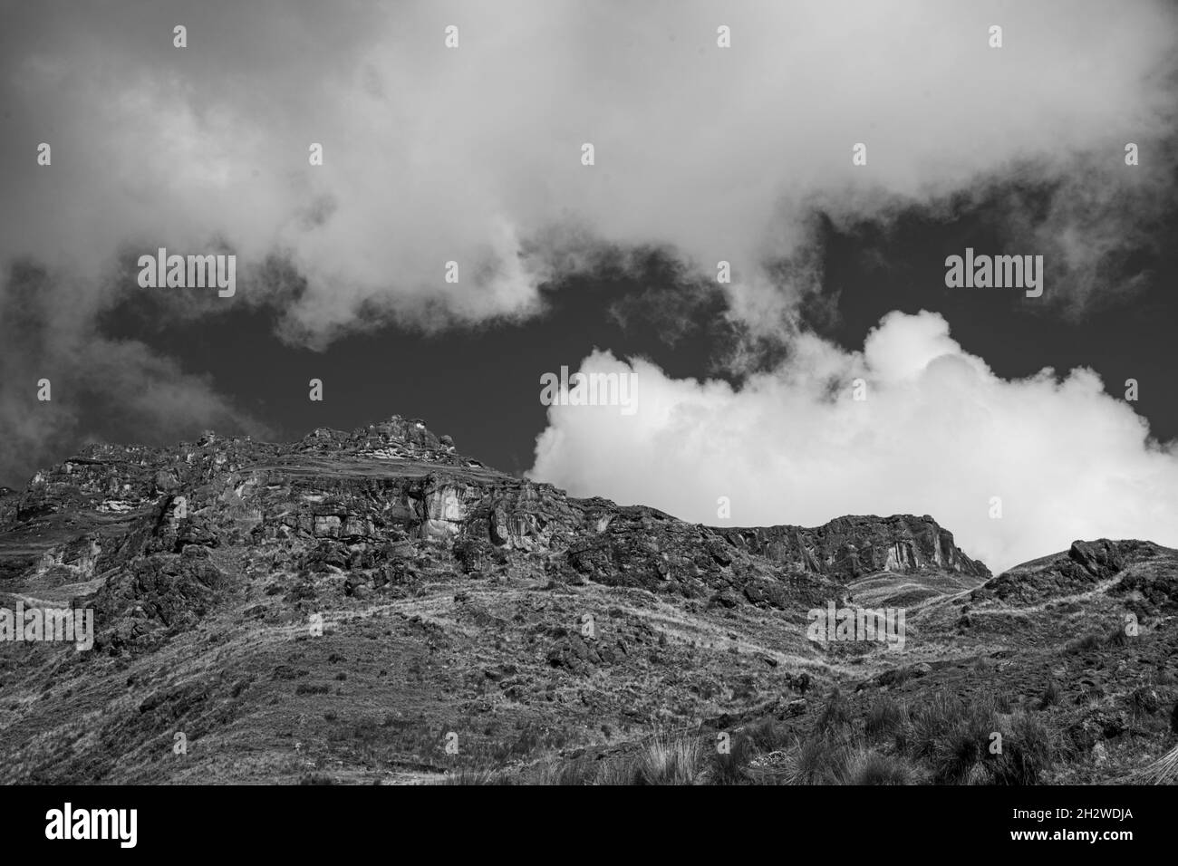 Area day Black and White Stock Photos & Images - Alamy