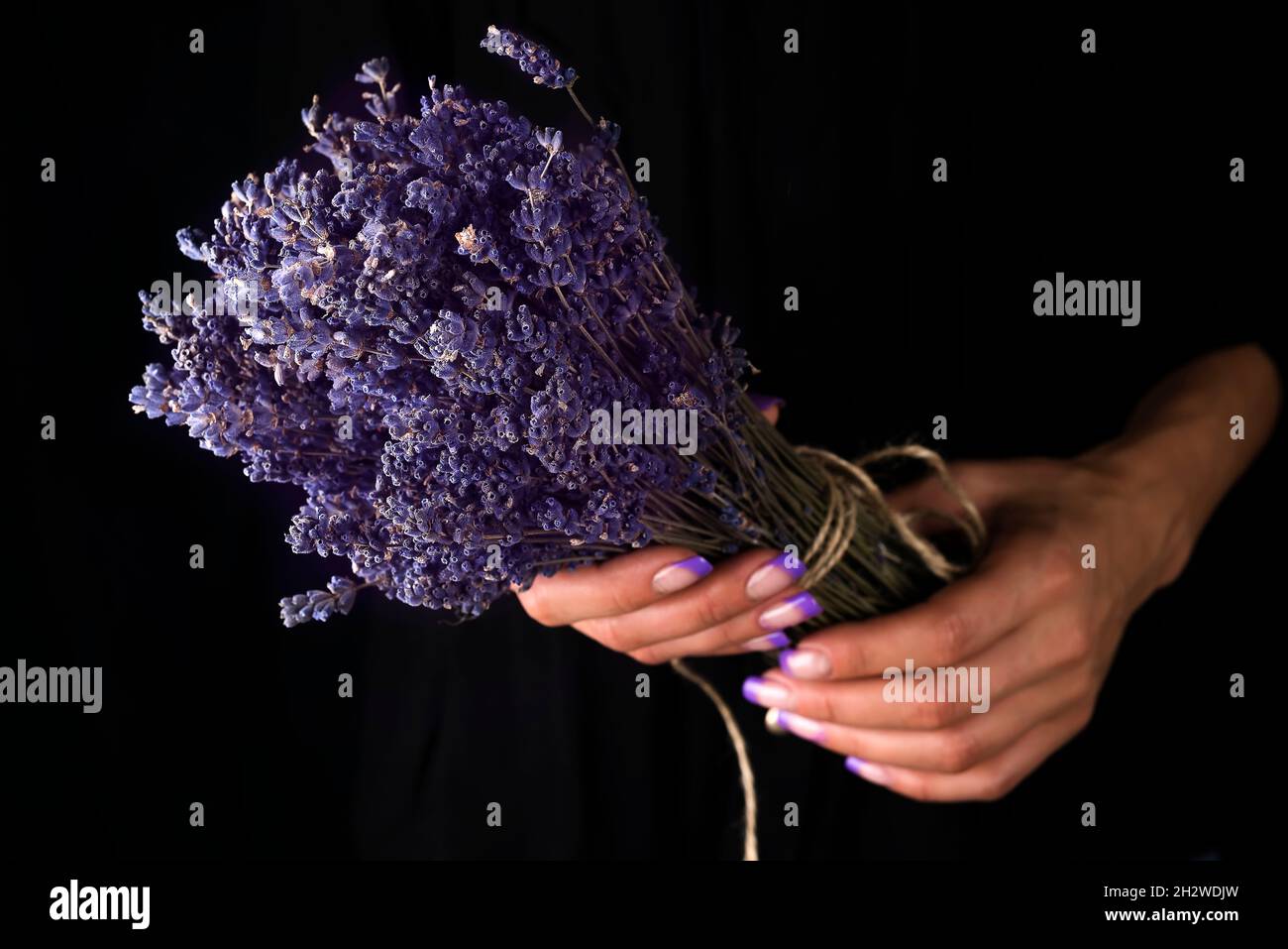 woman creating bouquet of natural lavender flowers Stock Photo - Alamy