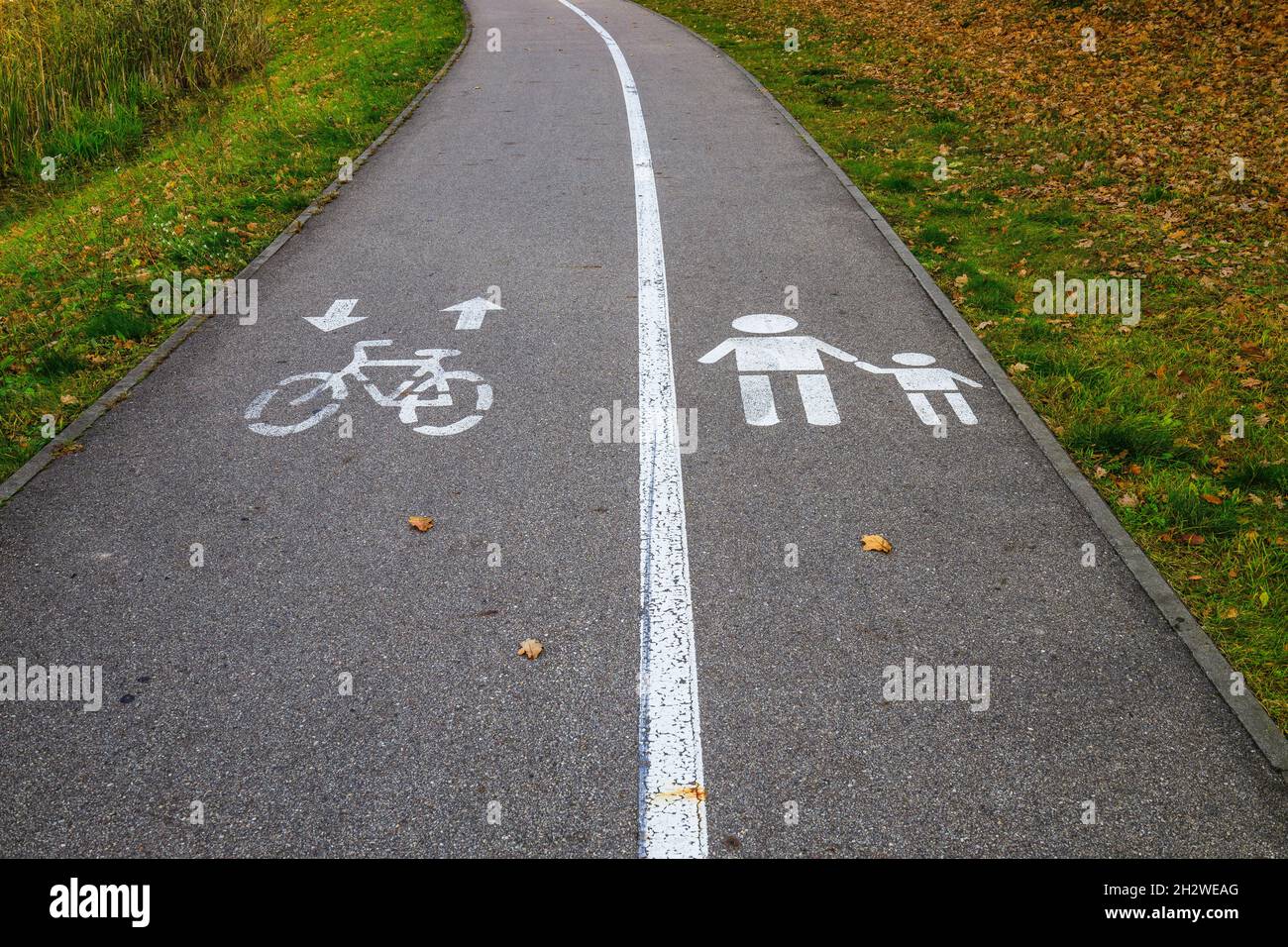 bicycle lane sign and pedestrian lane sign painted on the road asphalt ...