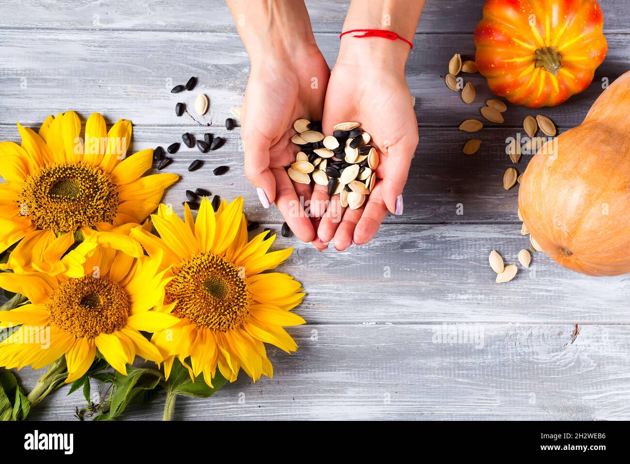 Person eat seed hi-res stock photography and images - Alamy