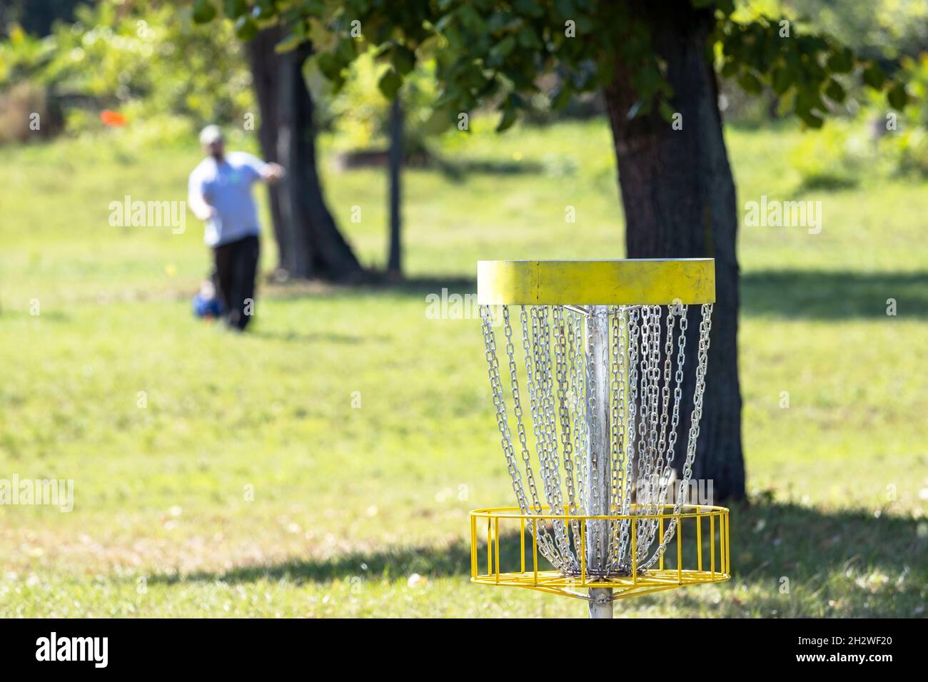 Playing flying disc golf sport game in the nature, target basket in ...