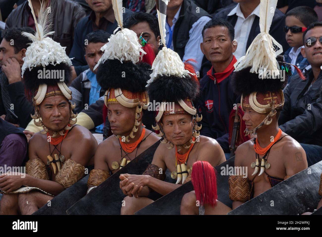 Naga Tribesmen siting dressed in traditional warrior attire at Kisama ...