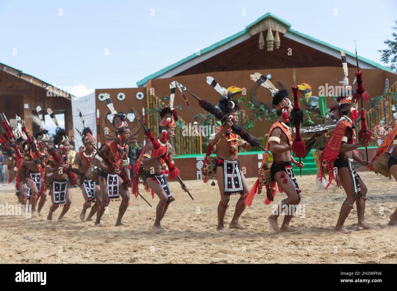 Group of Naga tribesmen dressed in their traditional attire dancing ...