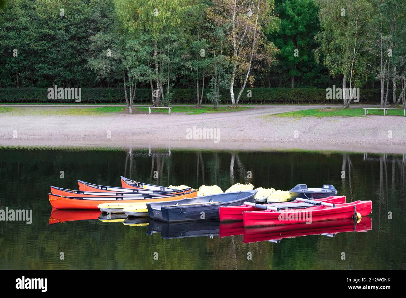 Red blue and yellow kayak canoes in row moored at lake Stock Photo - Alamy