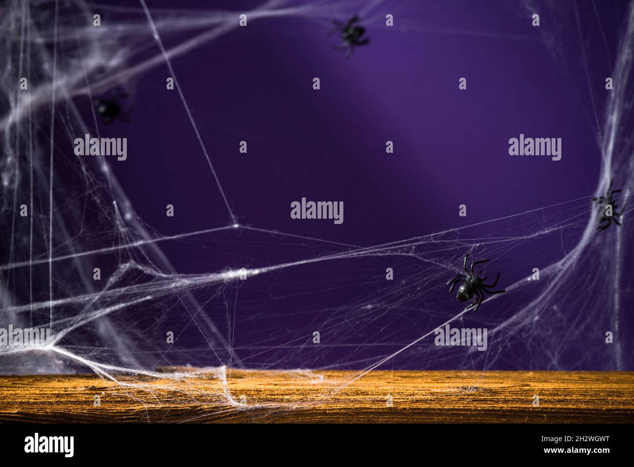 Halloween Spooky Background. Mockup Presentation Template for Design ...