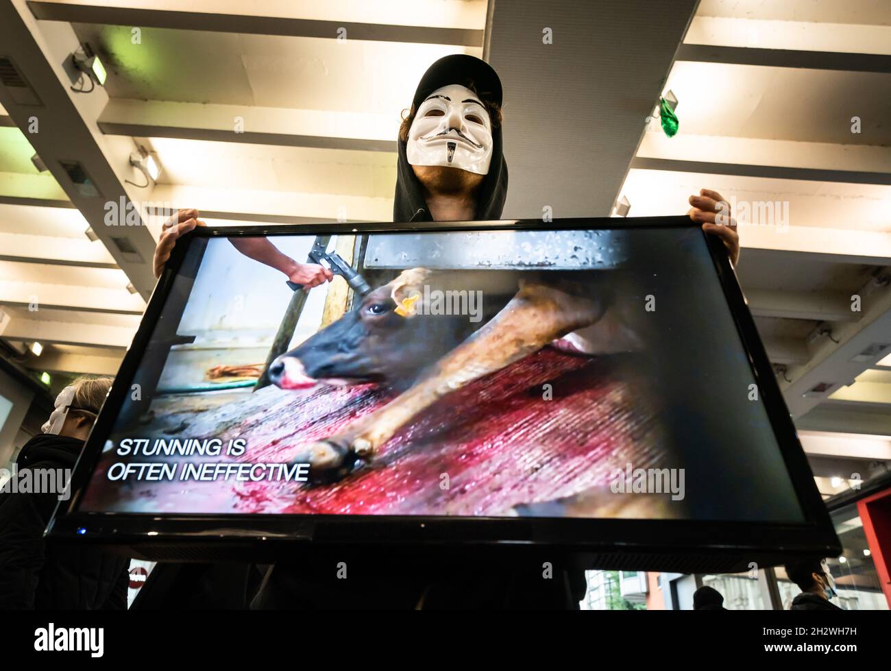 A member of global animal rights organisation Anonymous for the ...