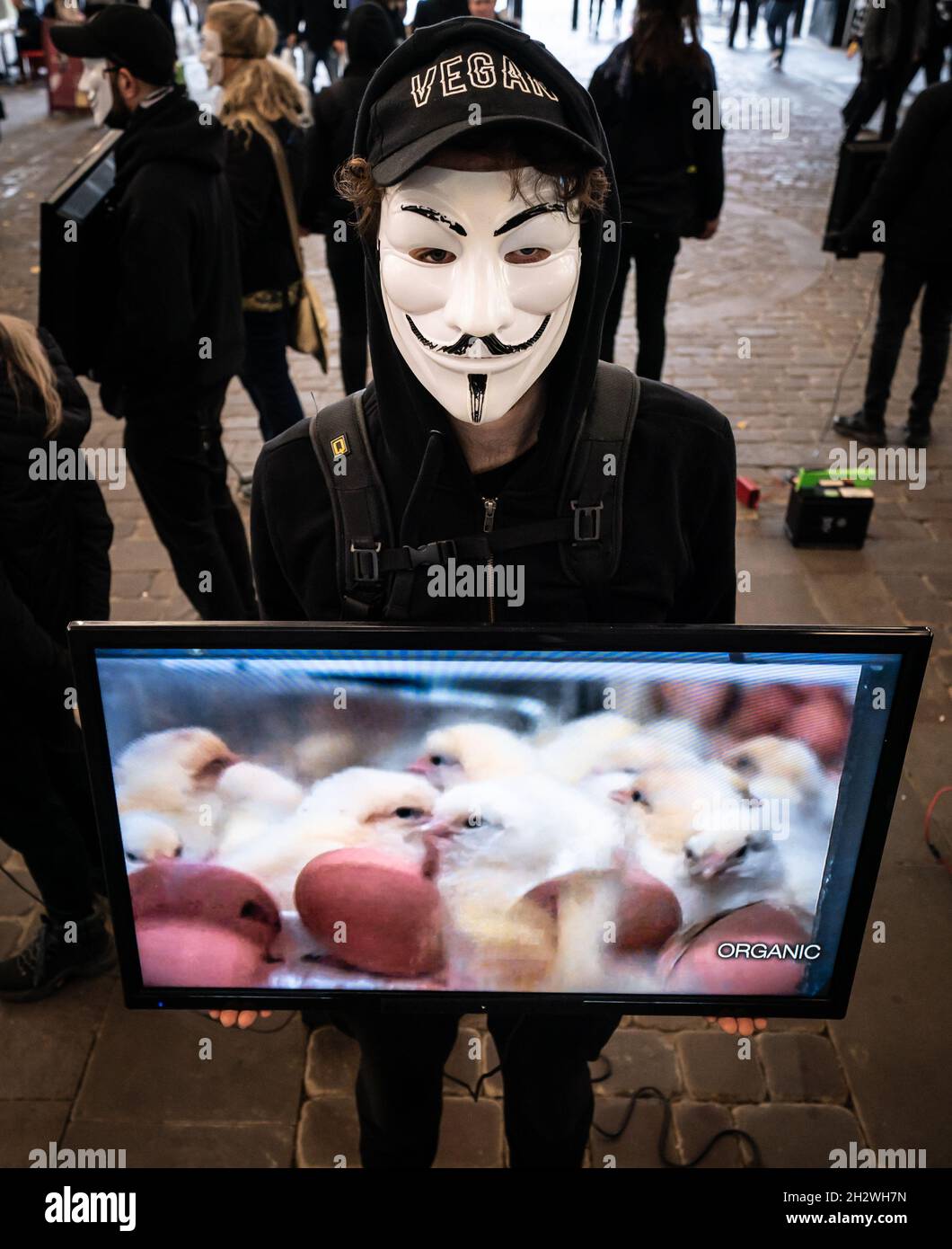 A member of global animal rights organisation Anonymous for the ...