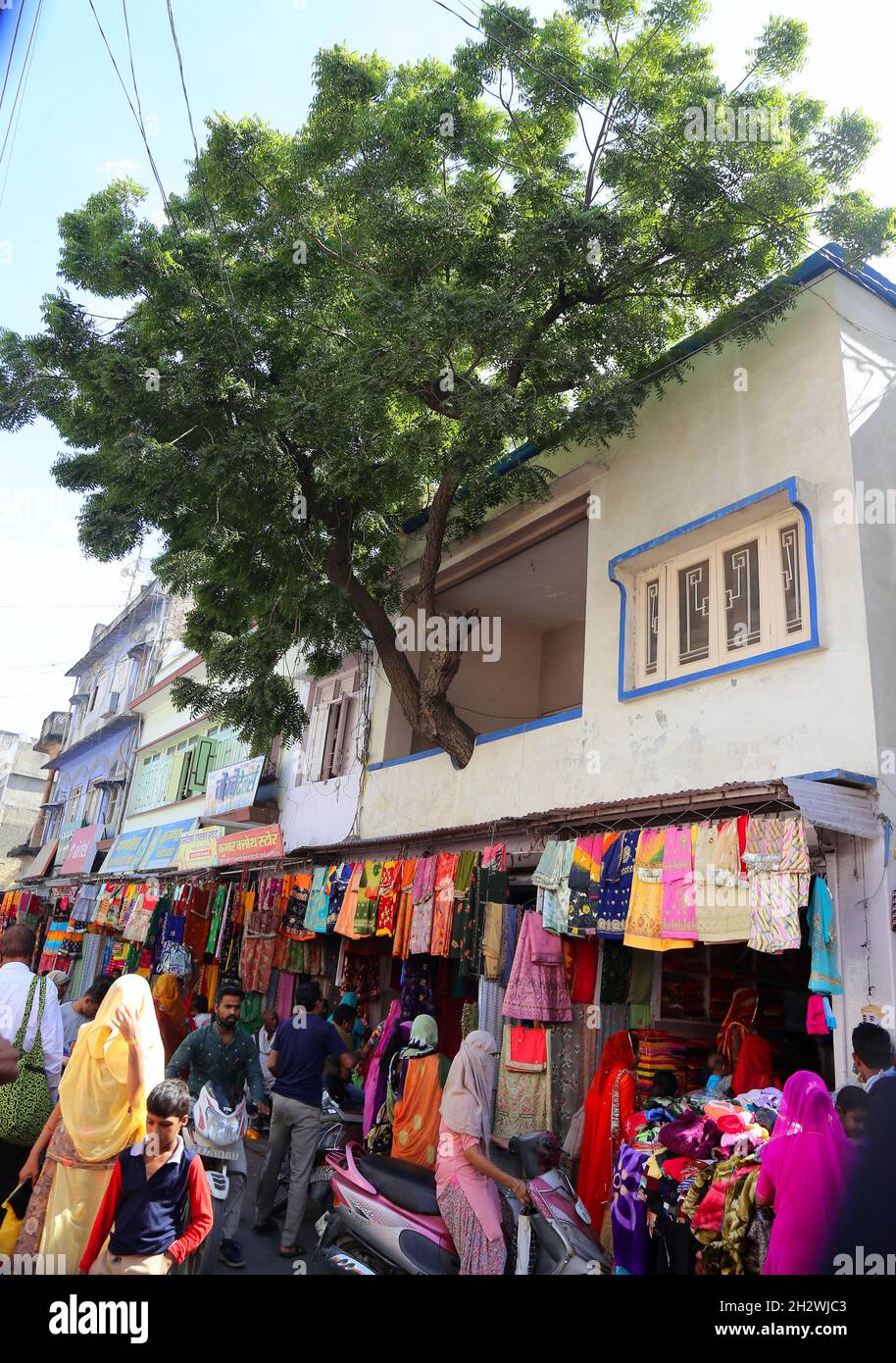 Neem tree passes through middle of a house in Beawar. An Indian family ...