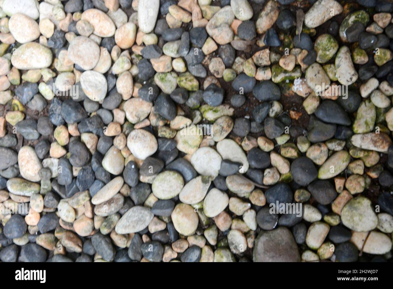 Collection of pebbles hi-res stock photography and images - Alamy