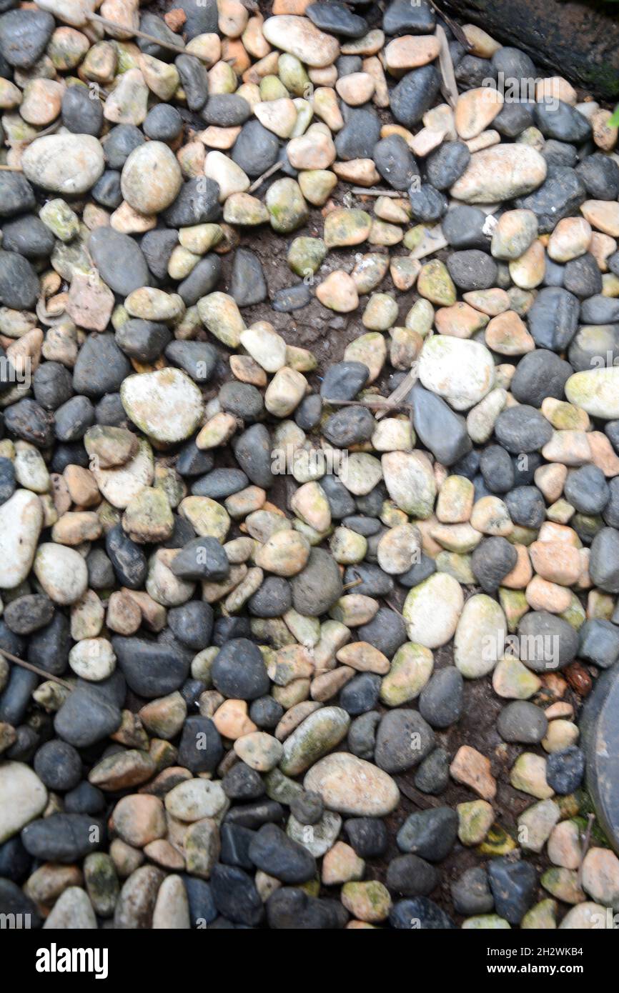 Collection of pebbles hi-res stock photography and images - Alamy