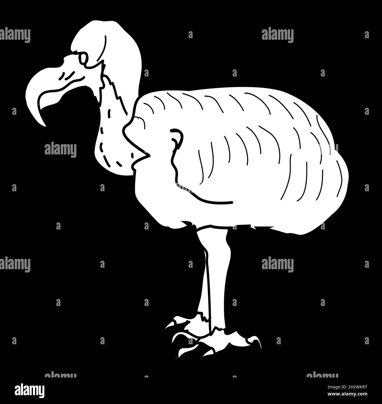 Extinct animals drawing hi-res stock photography and images - Alamy