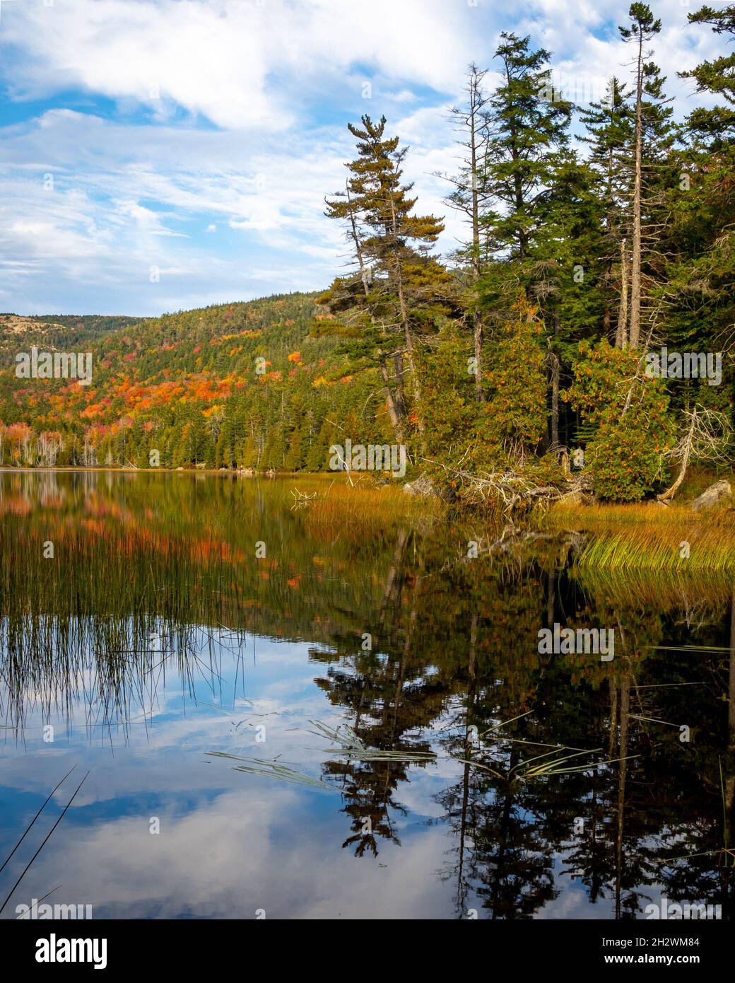 Acadia National Park, ME - USA - Oct. 13, 2021: An autumnal vertical ...
