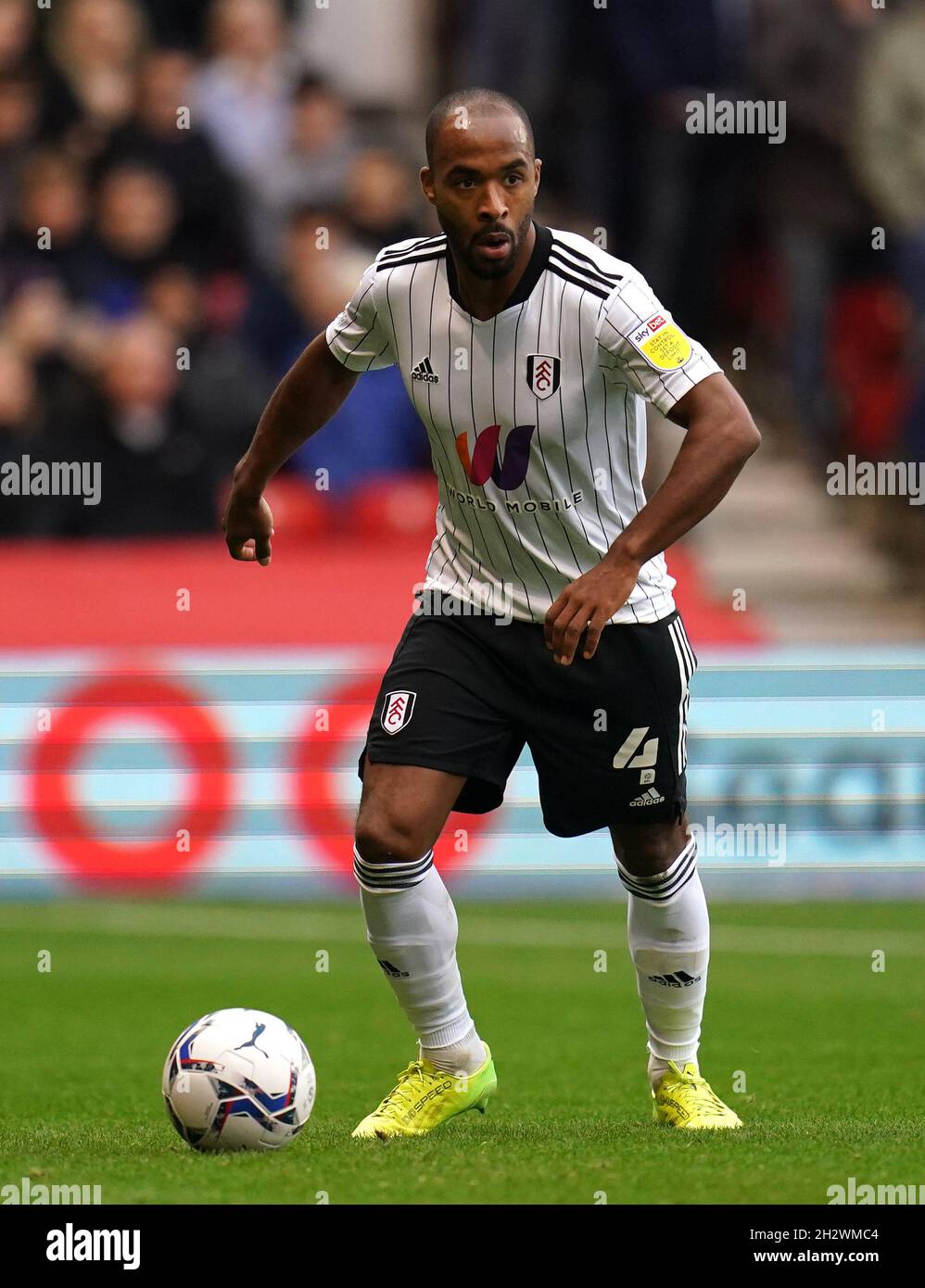 Fulham's Denis Odoi during the Sky Bet Championship match at the City ...