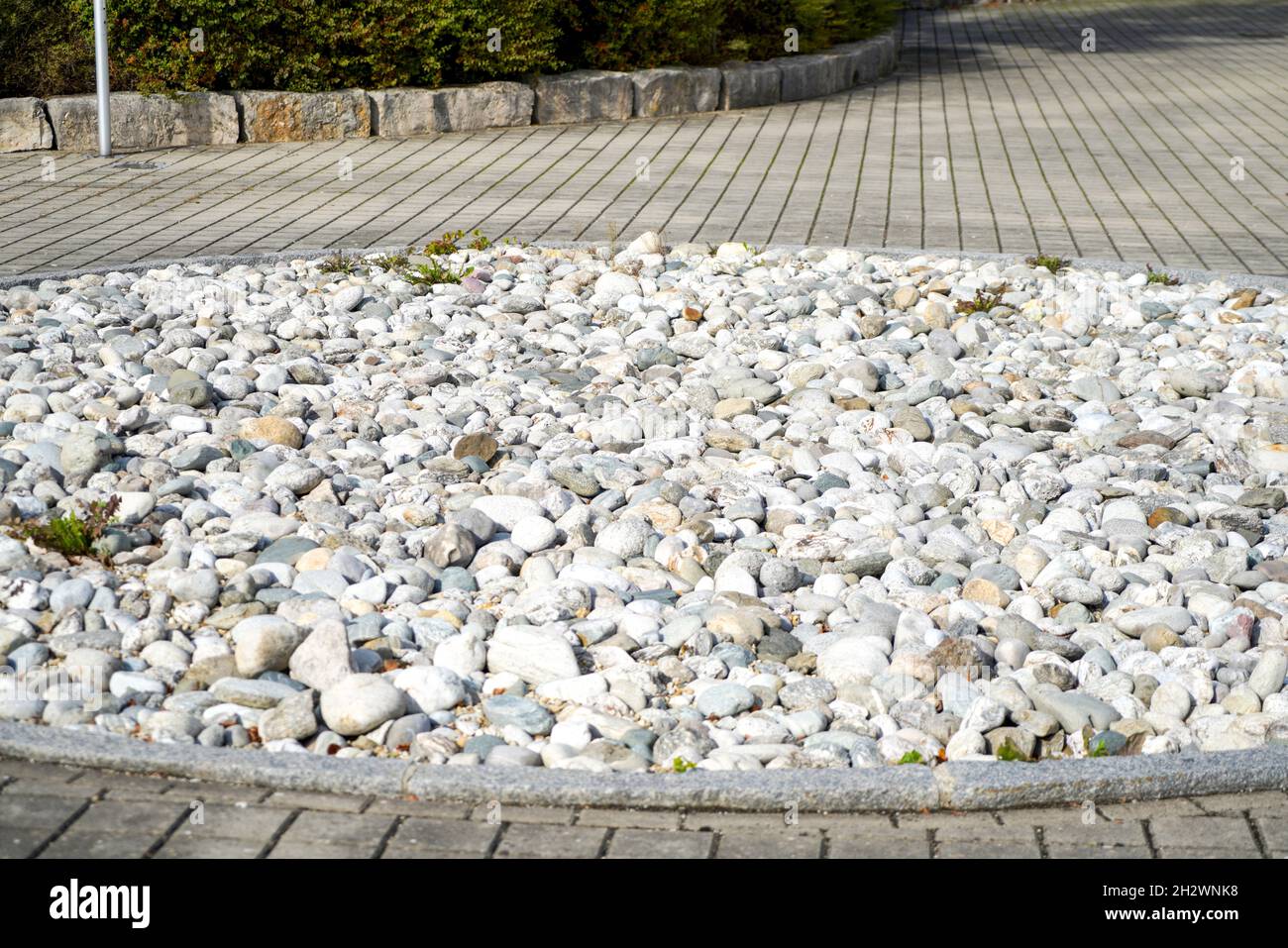 A bunch of white rocks and pebbles in a pavement Stock Photo - Alamy