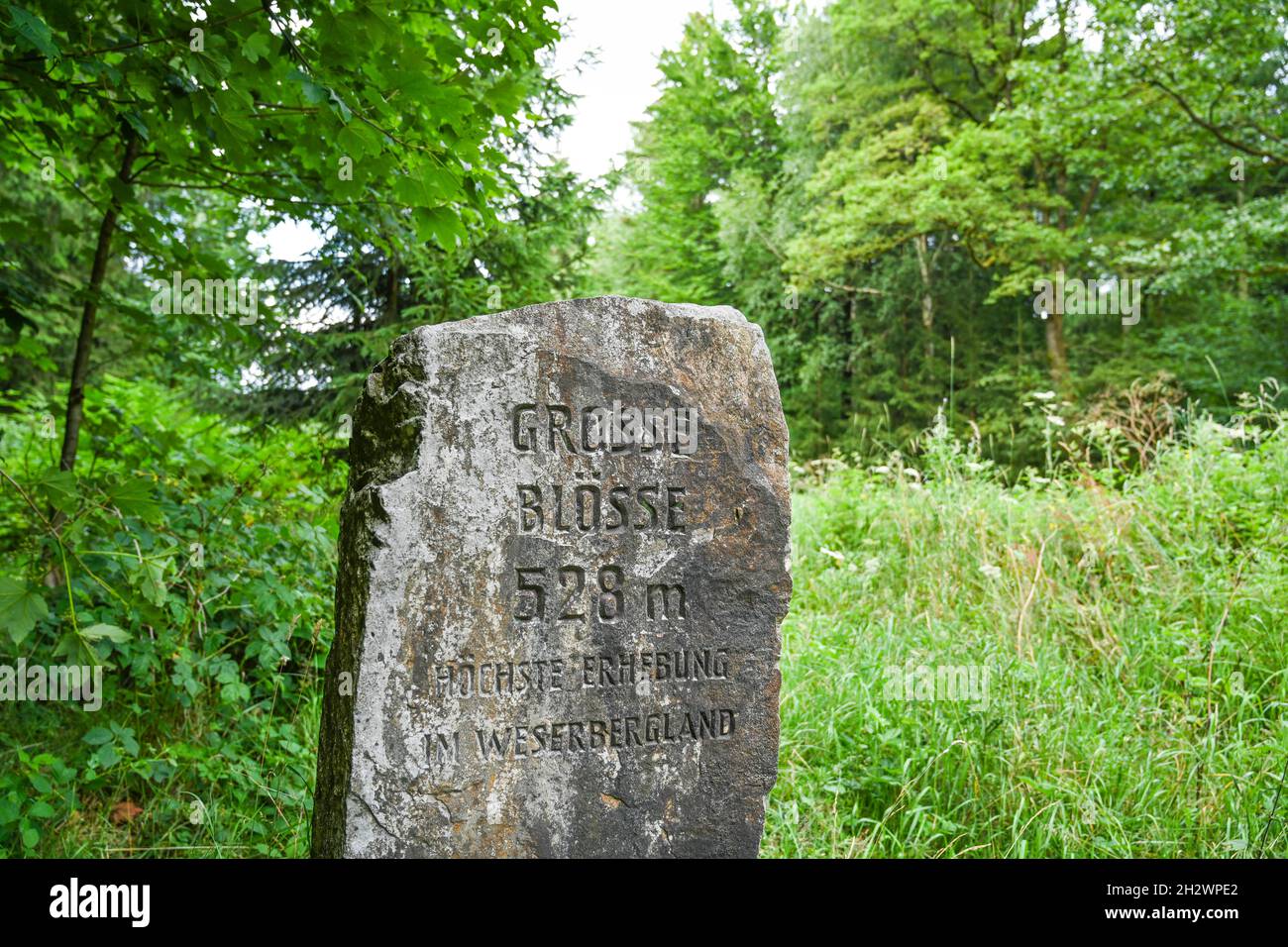 Grosse blosse hi-res stock photography and images - Alamy