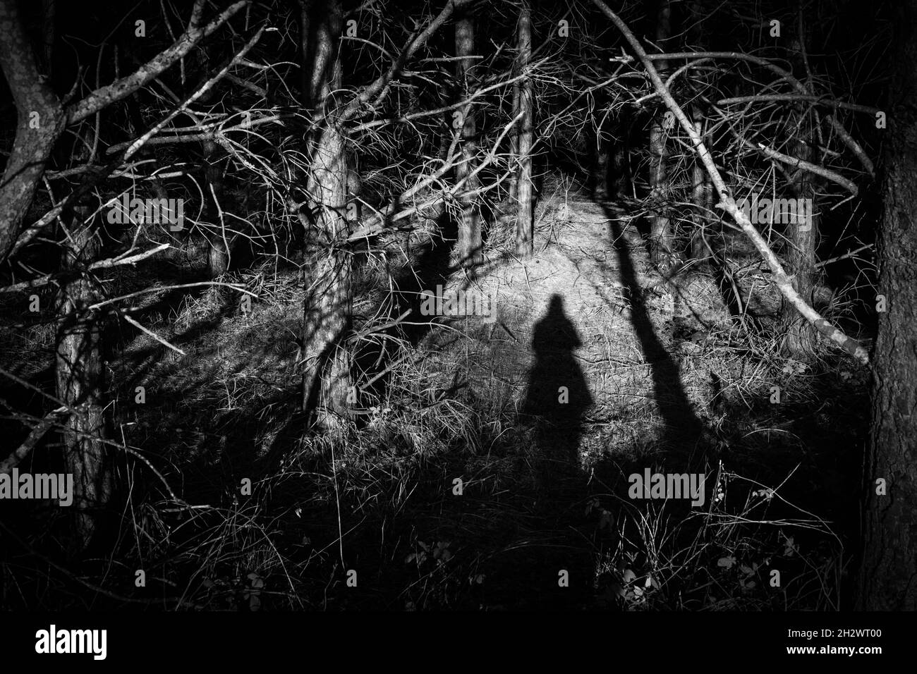 Dark supernatural hi-res stock photography and images - Alamy