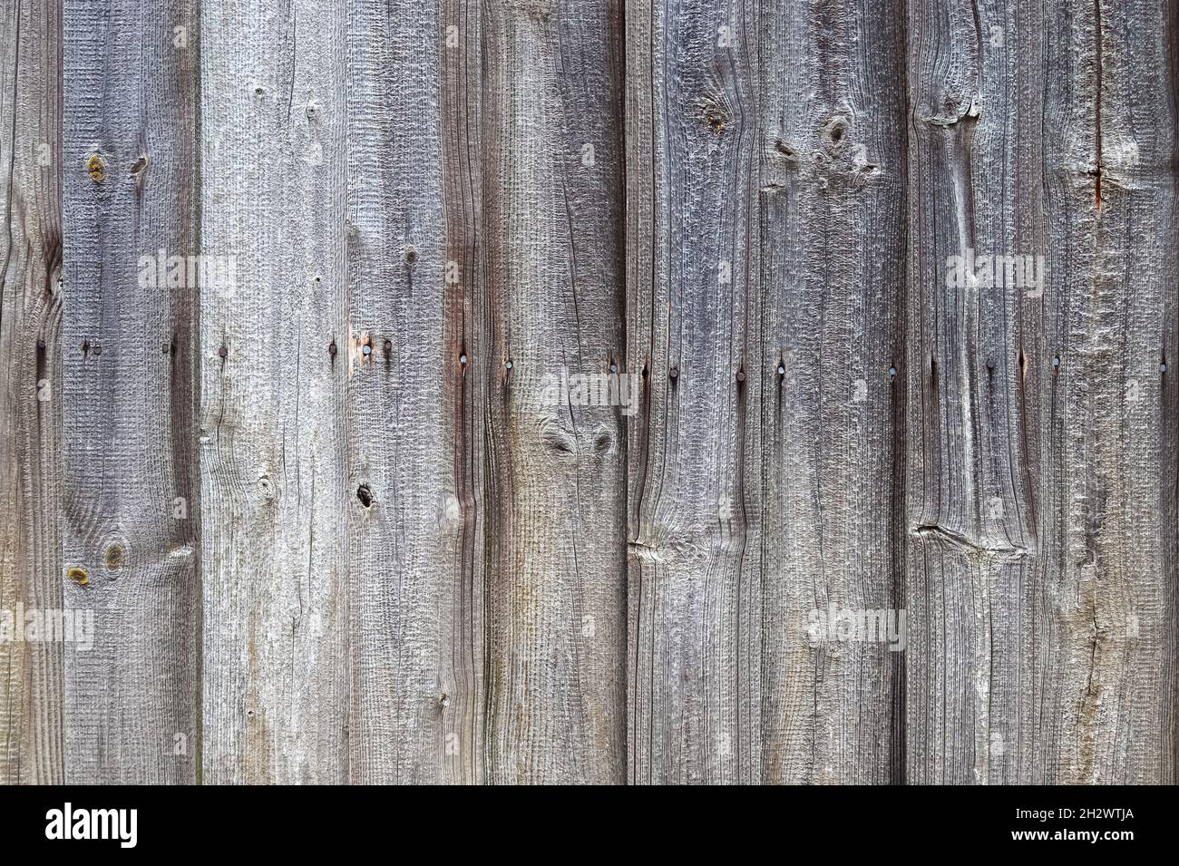 Close up view on different wood surfaces showing planks logs and wooden ...