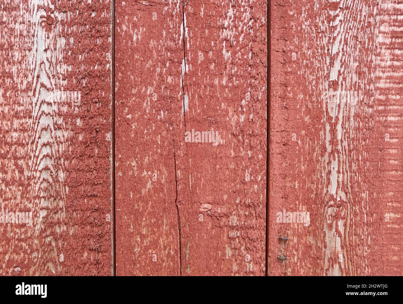 Close up view on different wood surfaces showing planks logs and wooden ...