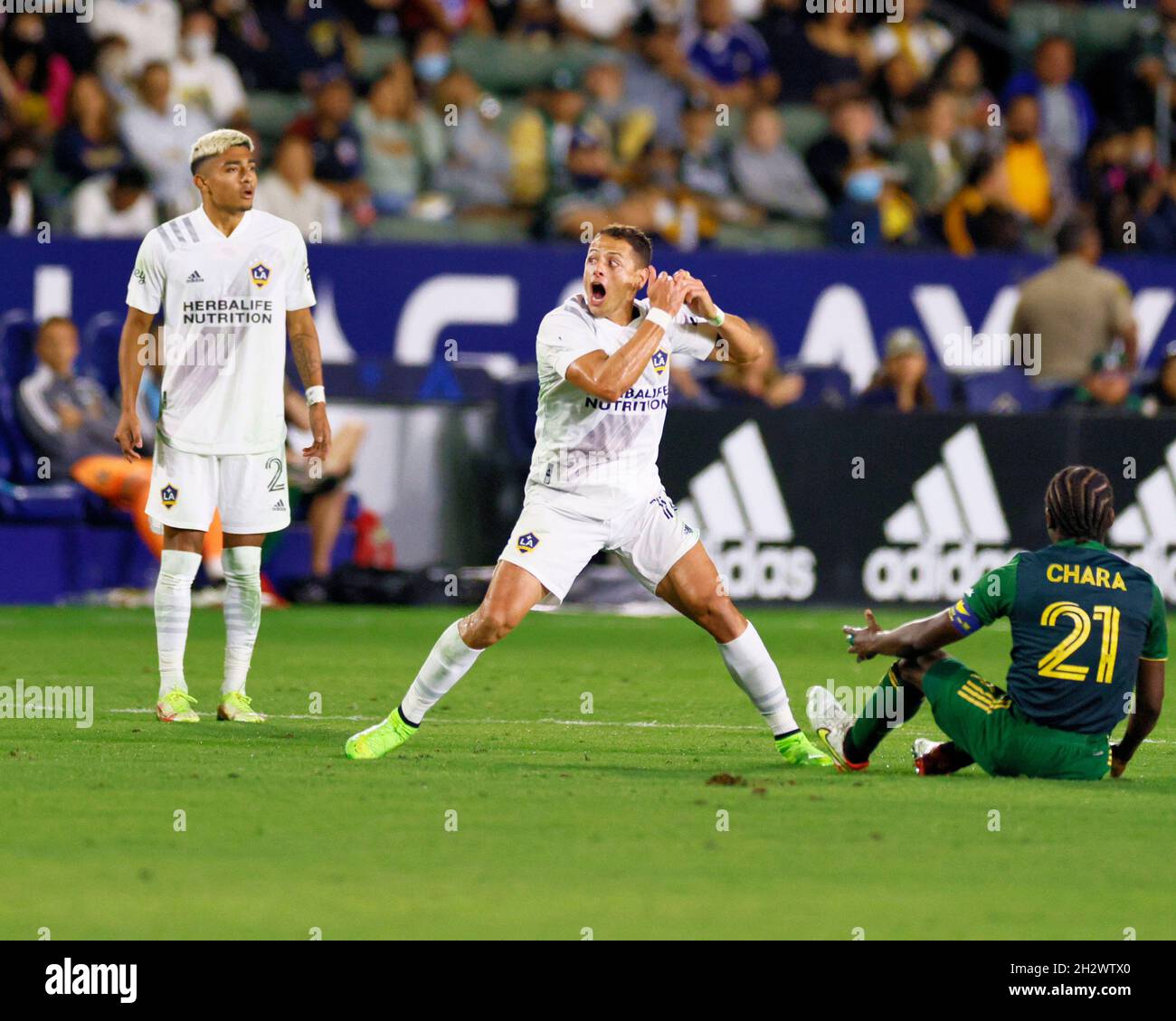 Chicharito galaxy hi-res stock photography and images - Alamy