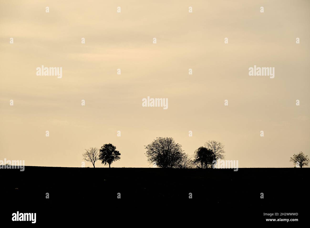 Sunset sky and small hill. Silhouette of hill and trees on the sky in ...
