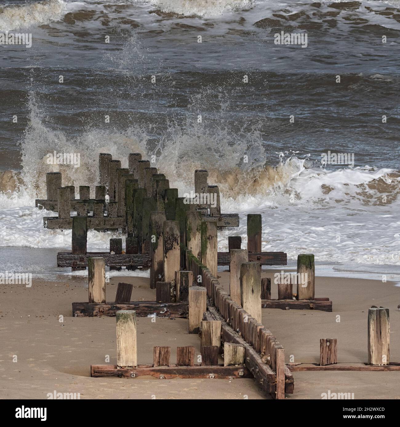 Wooden revetments, coastal sea defences with a blustery incoming tide ...