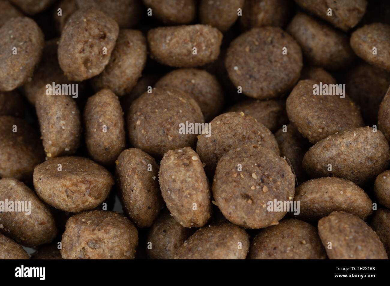 Texture of dry food. Close up of useful pet food. Concept of background ...