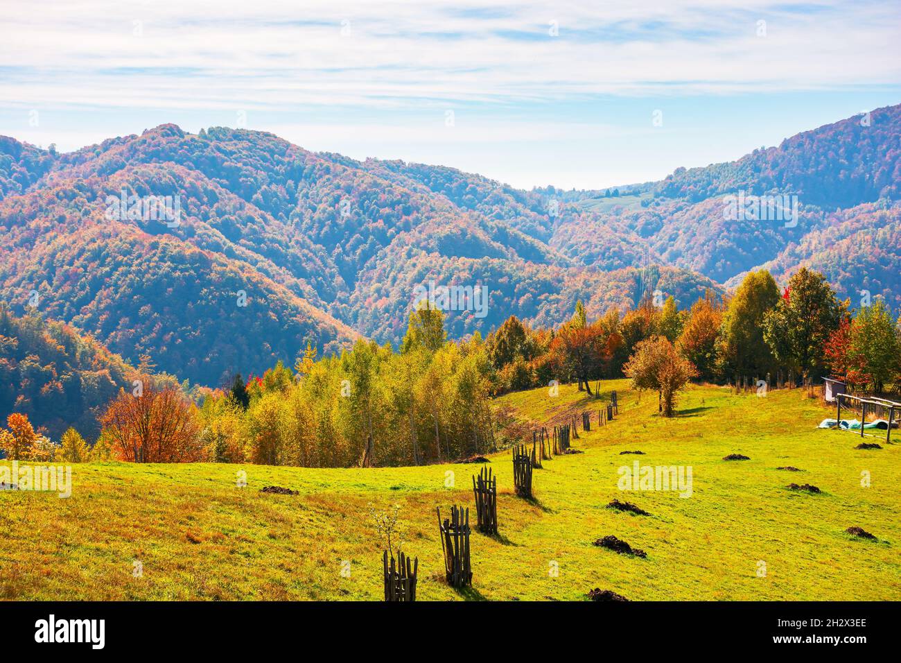 rural landscape in mountains. grassy fields on the hill. forest in ...