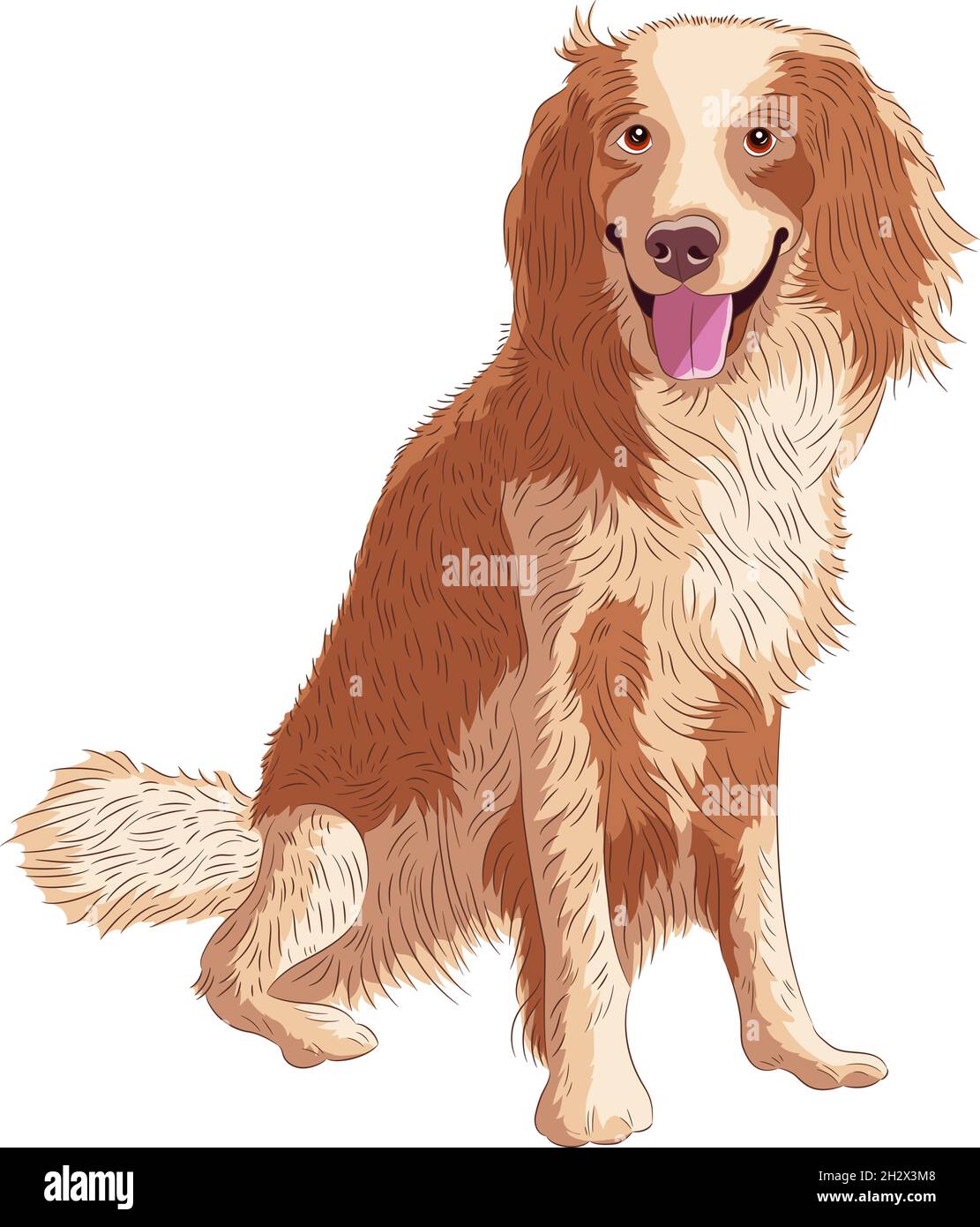 Vector drawing of a big red-haired cheerful dog isolated on a white ...