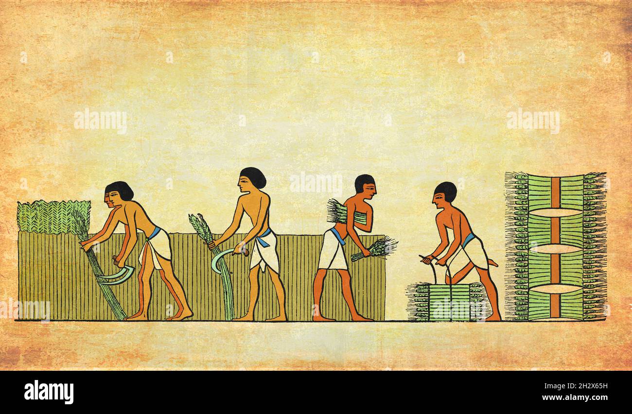 Collage and elaboration from engravings middle '800, representing ...