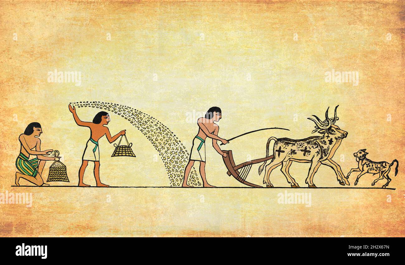 Ancient Egypt Agriculture