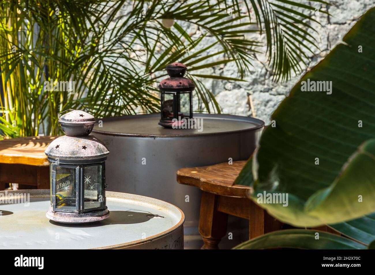 A decorative cafe interior with fern plants and lamps on tables Stock ...