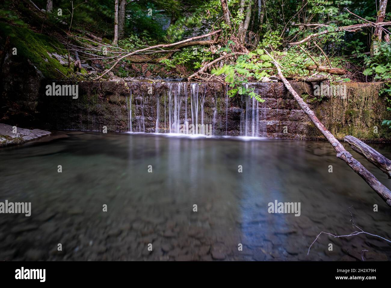 mountain landscape with trees and streams Stock Photo - Alamy