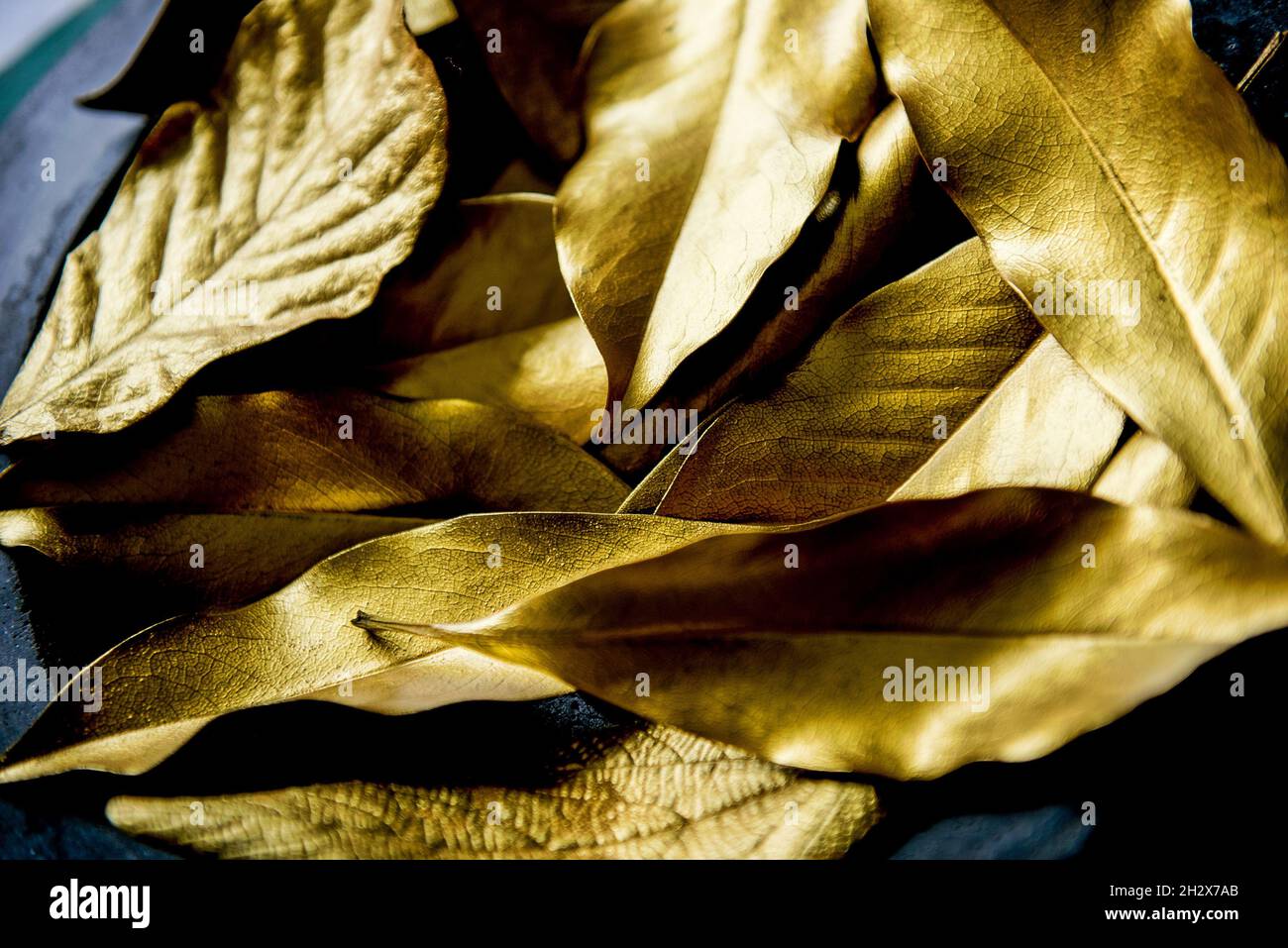 Gold_leaf hi-res stock photography and images - Alamy