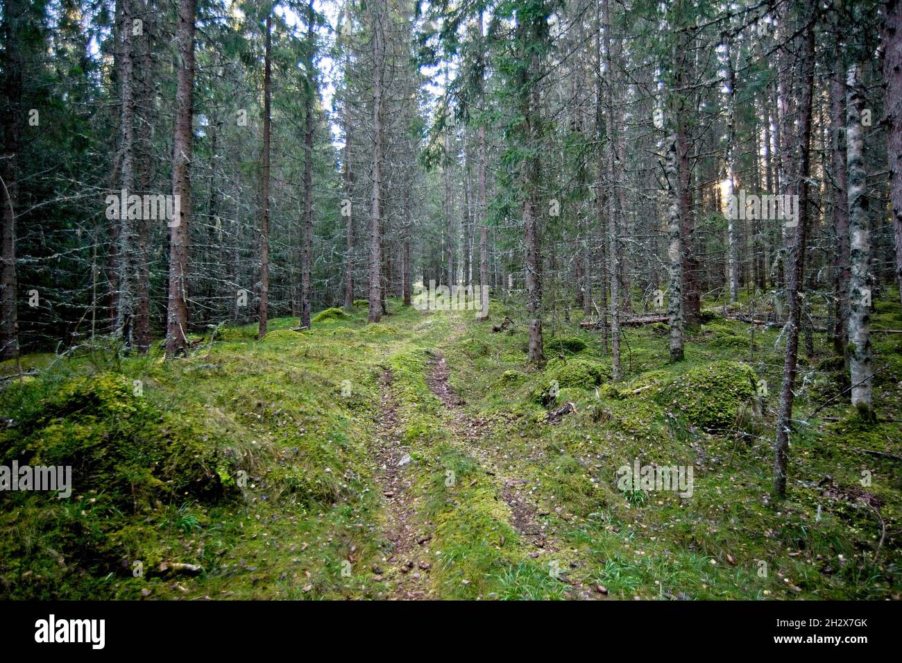 Nice walk hi-res stock photography and images - Alamy