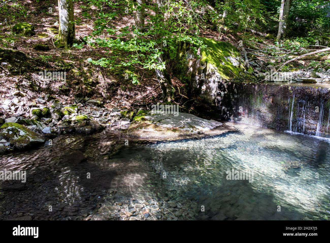 mountain landscape with trees and streams Stock Photo - Alamy