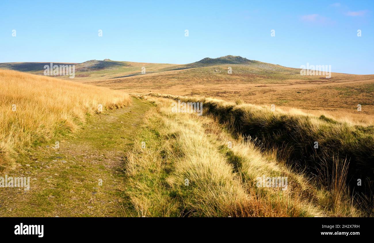 Hare Tor and Sharp Tor from White Hill on west Dartmoor in Devon UK ...