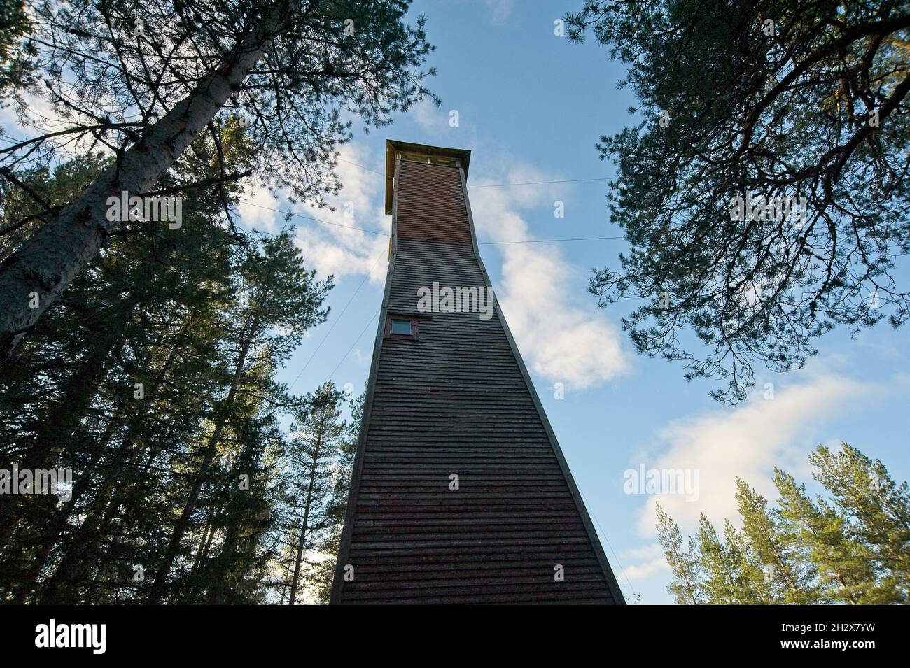 Wooden tower with a beautiful view in the forest Stock Photo - Alamy