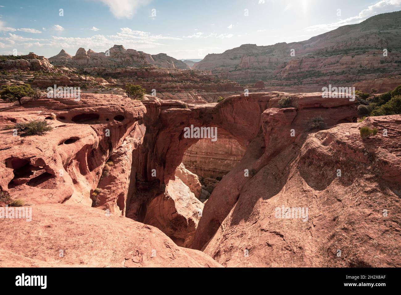 Forms an arch hi-res stock photography and images - Alamy