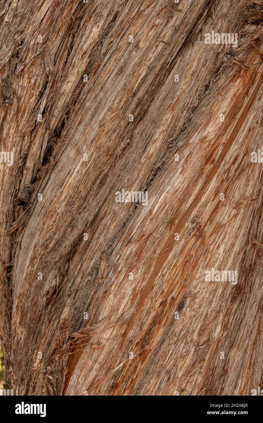 Splintering Wood High Resolution Stock Photography and Images - Alamy