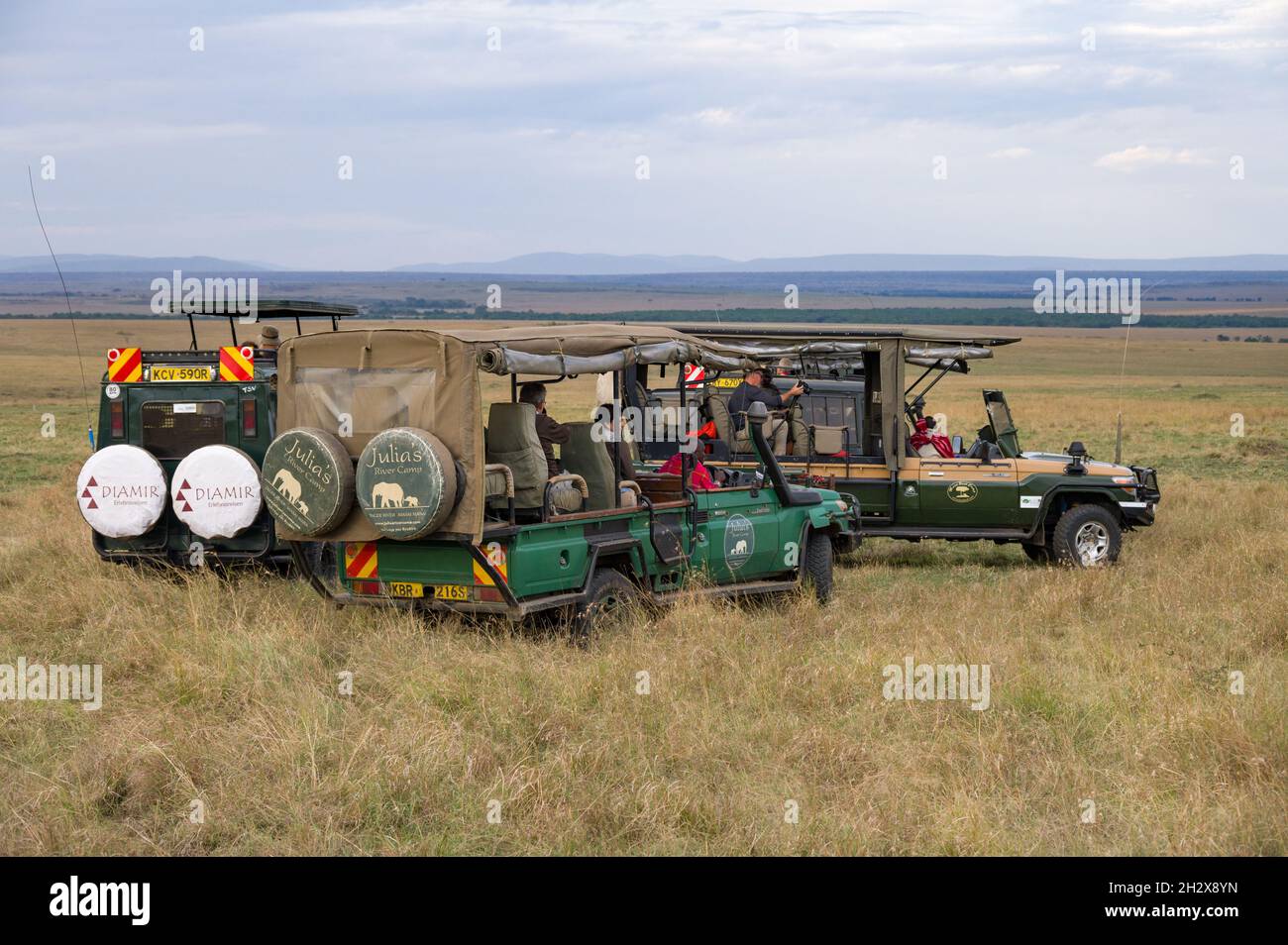 A group of 4x4 Toyota Landcruiser safari vehicles with tourists stopped ...