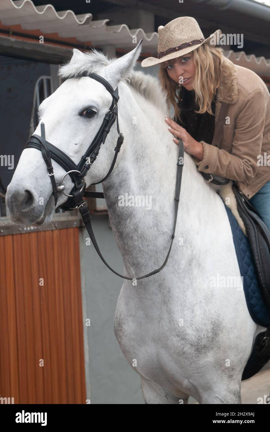 female rider in the stables mounted on horseback before going out for a ...