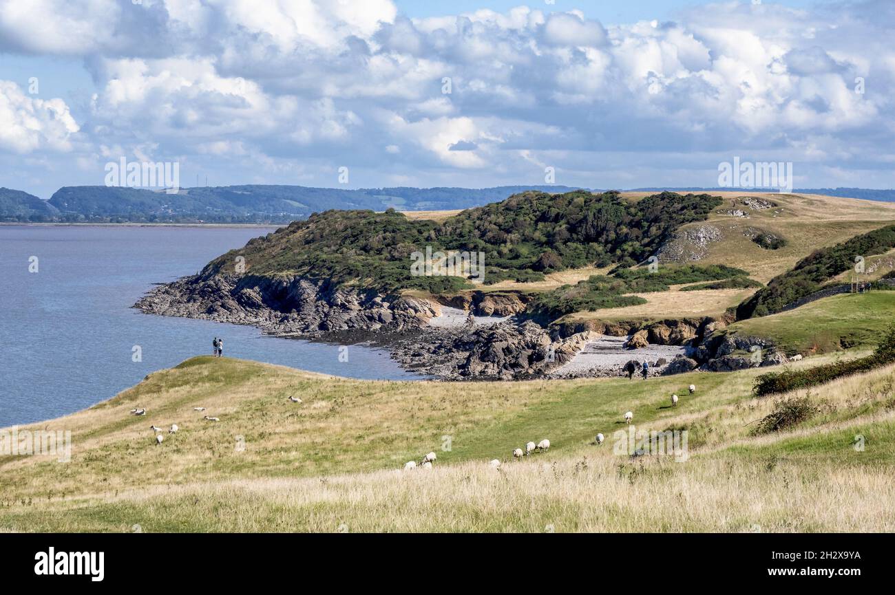 Middle cove beach hi-res stock photography and images - Alamy