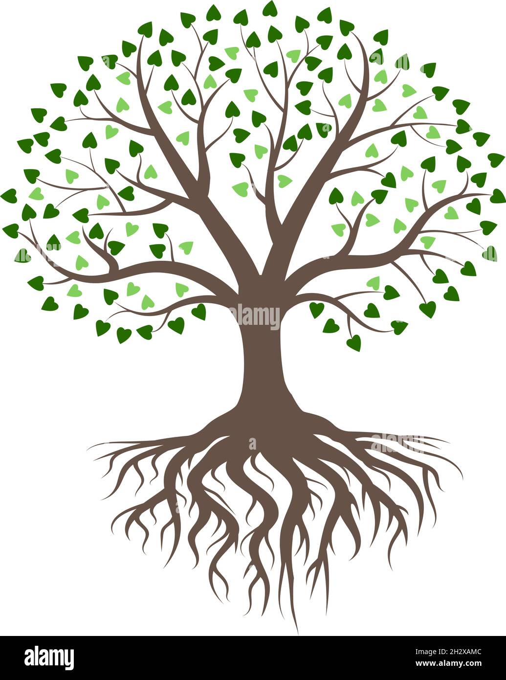 Green rooted tree Stock Vector Image & Art - Alamy