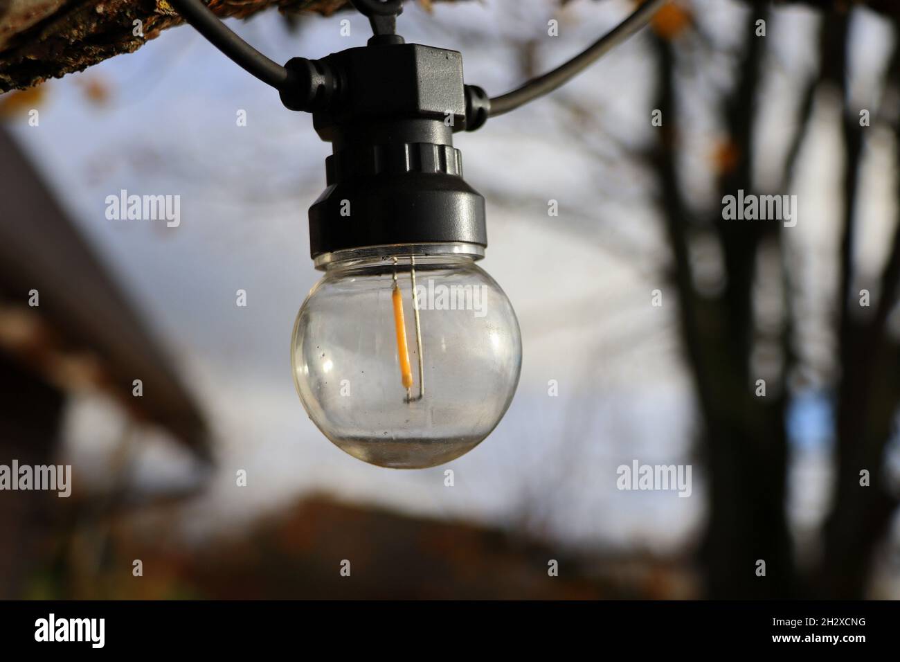 Decorative outdoor lights bulb hanging on tree in the garden at night ...