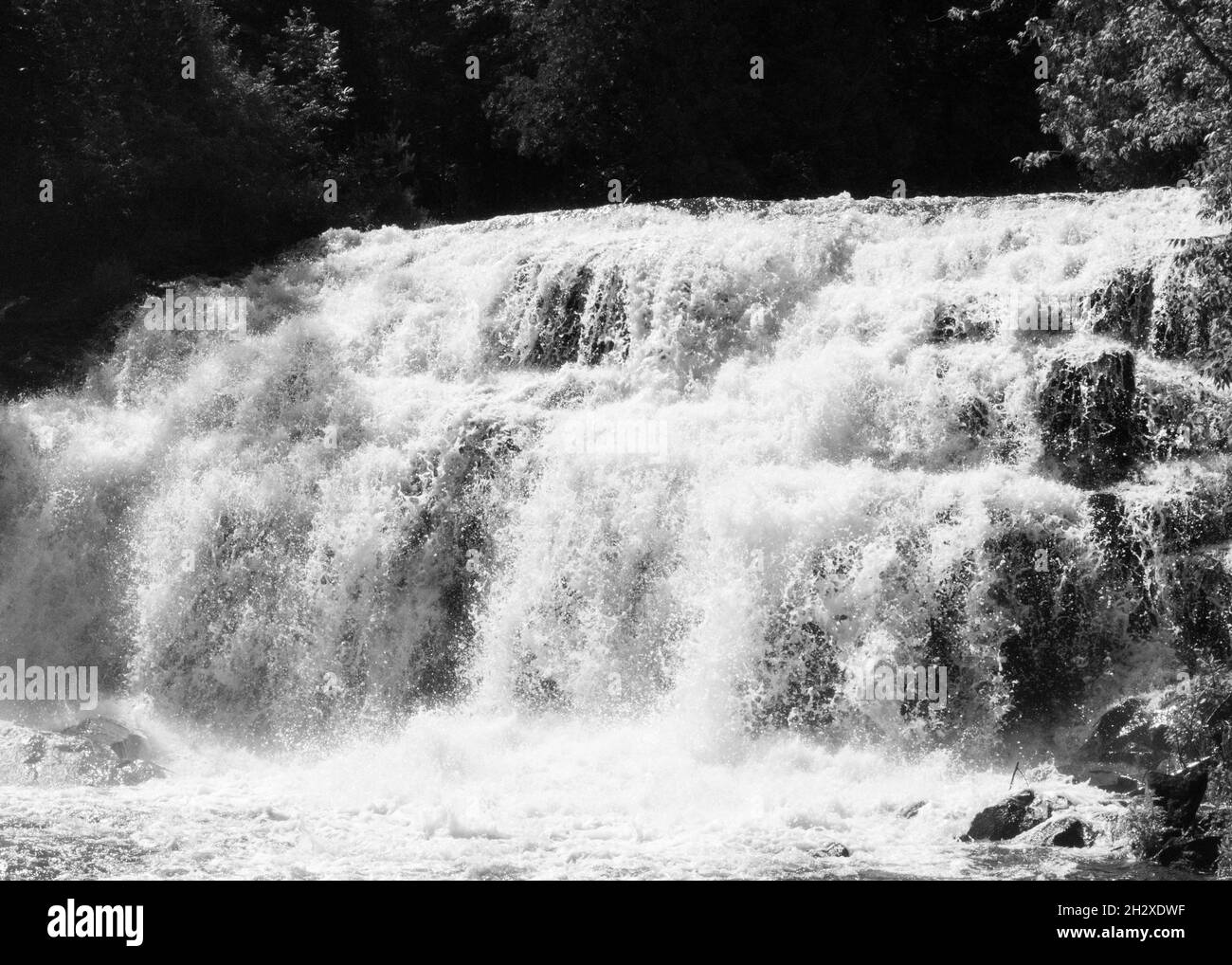 A monochrome shot of a wide foamy waterfall flowing into a river in the ...